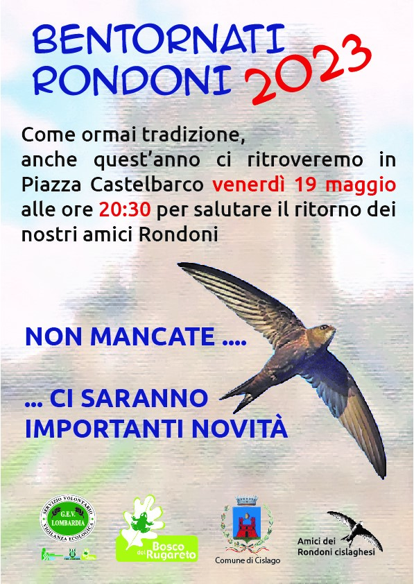 ALLA SCOPERTA DEI RONDONI